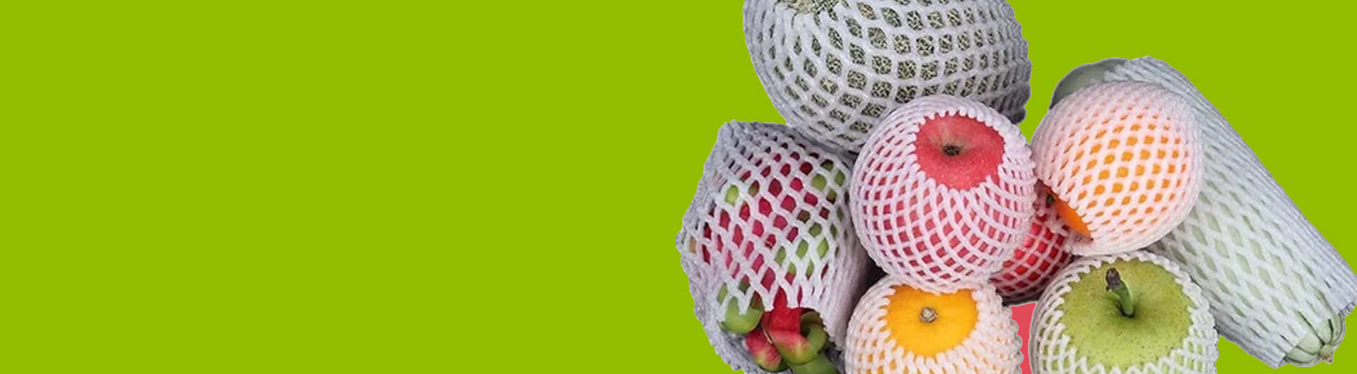 Adhiraj Agro Industries - Nashik | EPE FOAM FRUIT NET | FOAM FRUIT BAGGING
